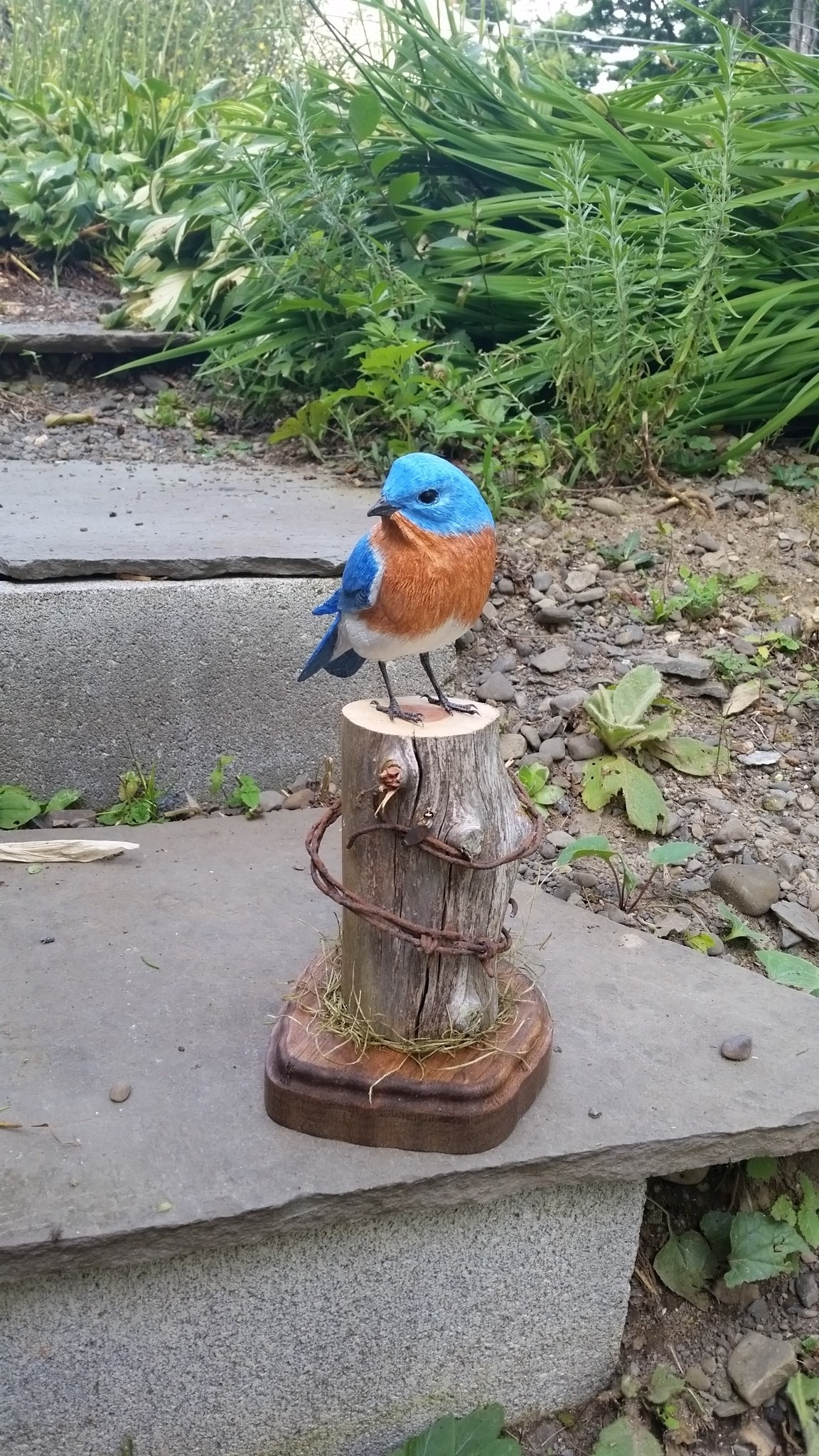 Audubon Presents Roger Foote, Bird Carver, September 18